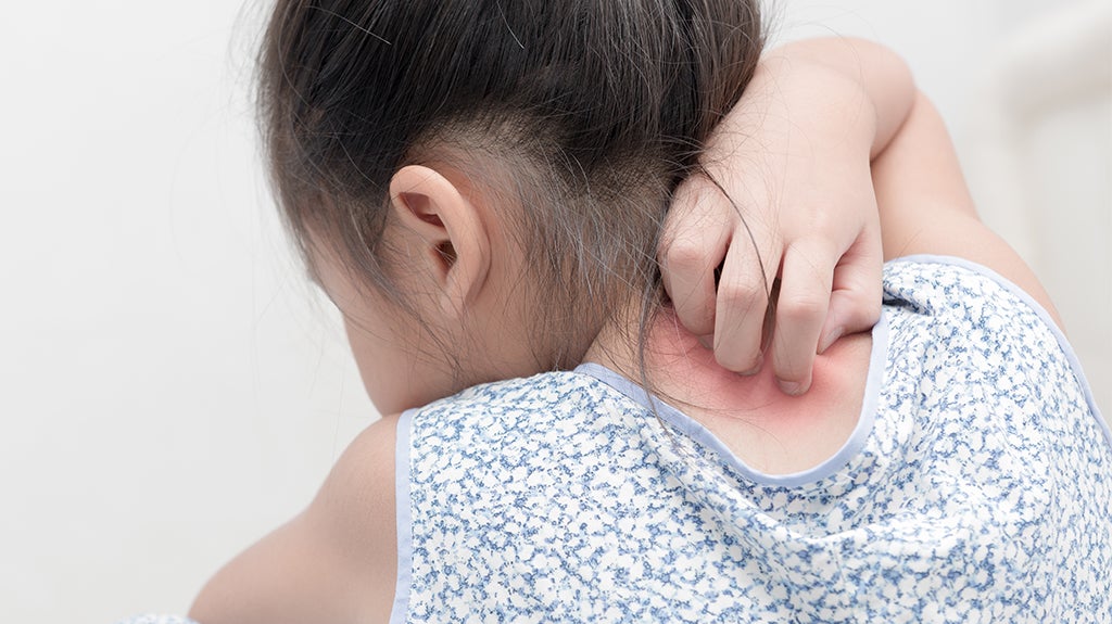 20 Years On, the GINI Study Still Serves Fresh Insights