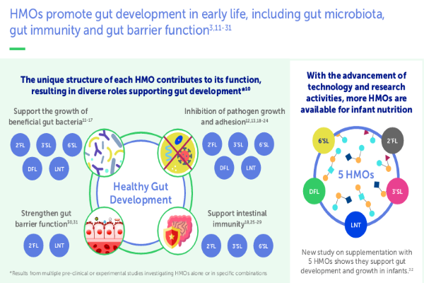 HMOs and gut development: What is the current evidence?