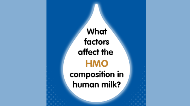 What factors affect the HMO composition in human milk?
