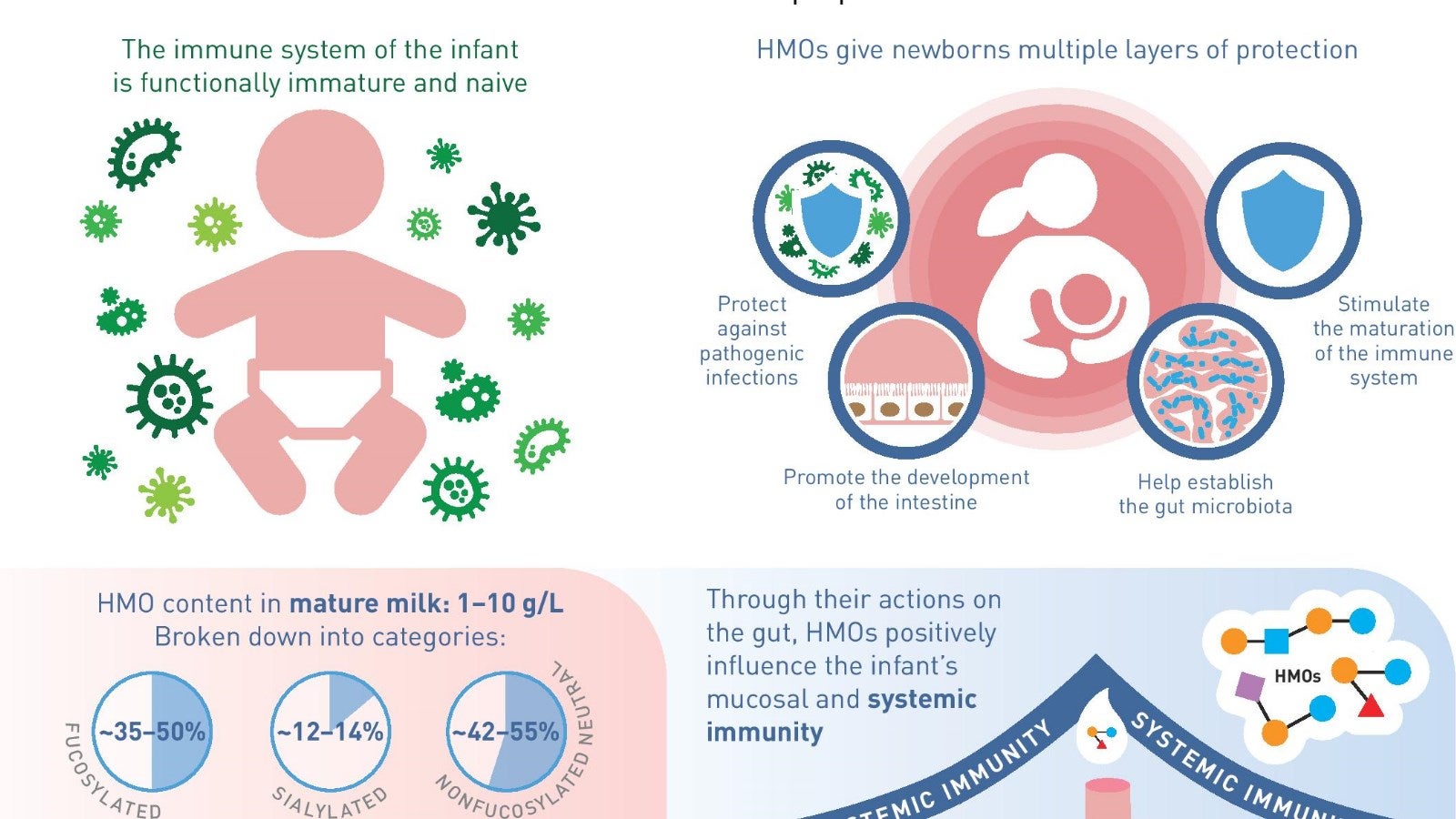 Hmo Infographic