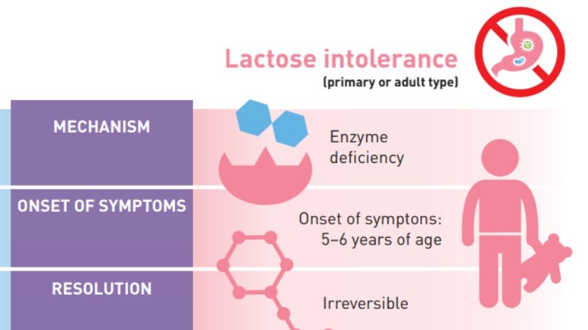 Lactose Intolerance: Common Misunderstandings - Infographic