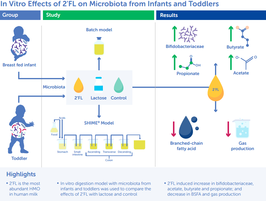 A Comparison of the In Vitro Effects of 2’Fucosyllactose and Lactose on ...
